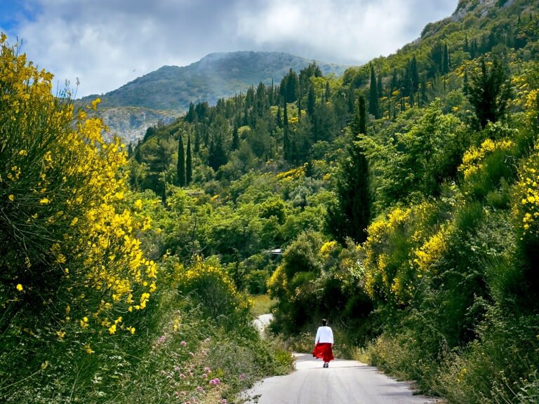 Why Visit Greece: Top Reasons to Visit Greece - Spotlight Sojourns